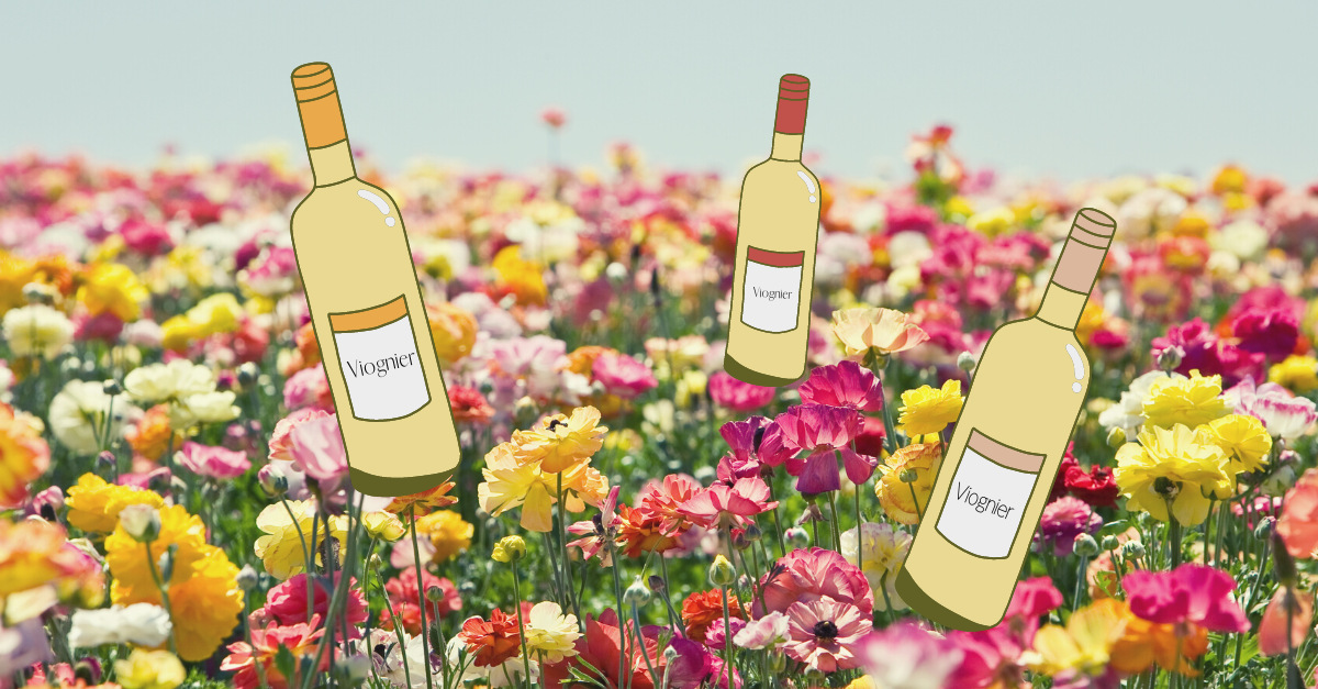Viognier: Flowers & Peaches & Cream, oh my! — Sunday School Wine