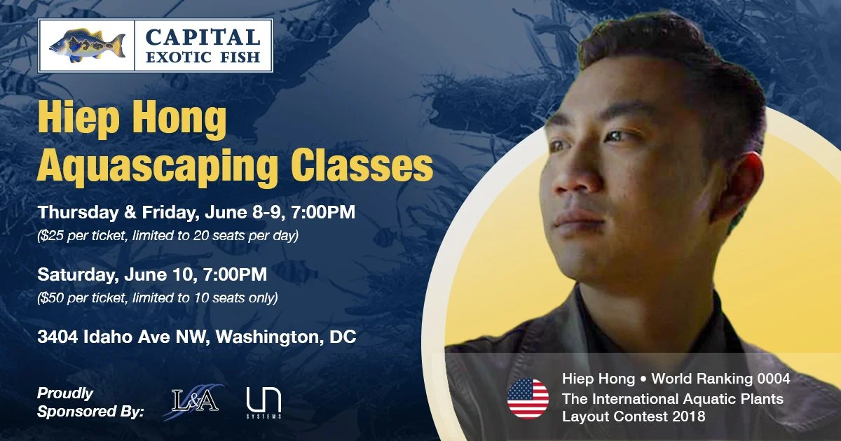 Classes — Capital Exotic Fish | Washington’s Home for Specialty Fish ...