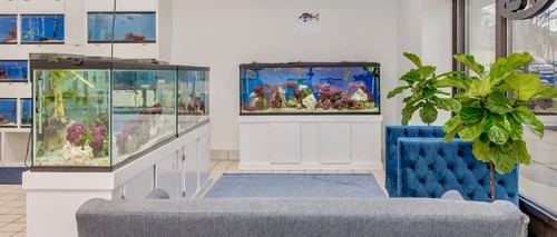 Our Story — Capital Exotic Fish | Washington’s Home for Specialty Fish ...