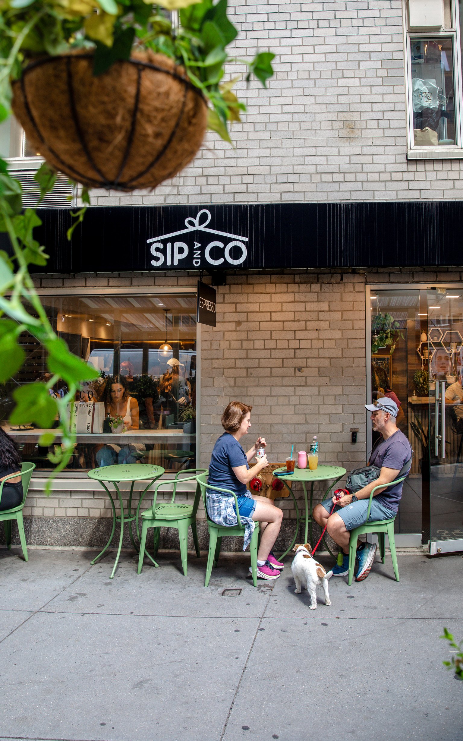 Order — Sip + Co