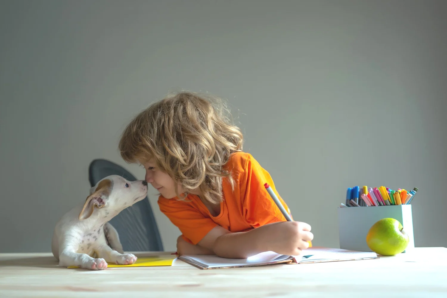 Services 1 — Angel Paws Utah