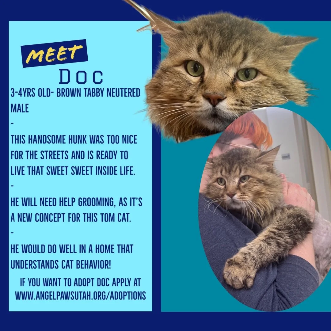 Adoptions — Angel Paws Utah