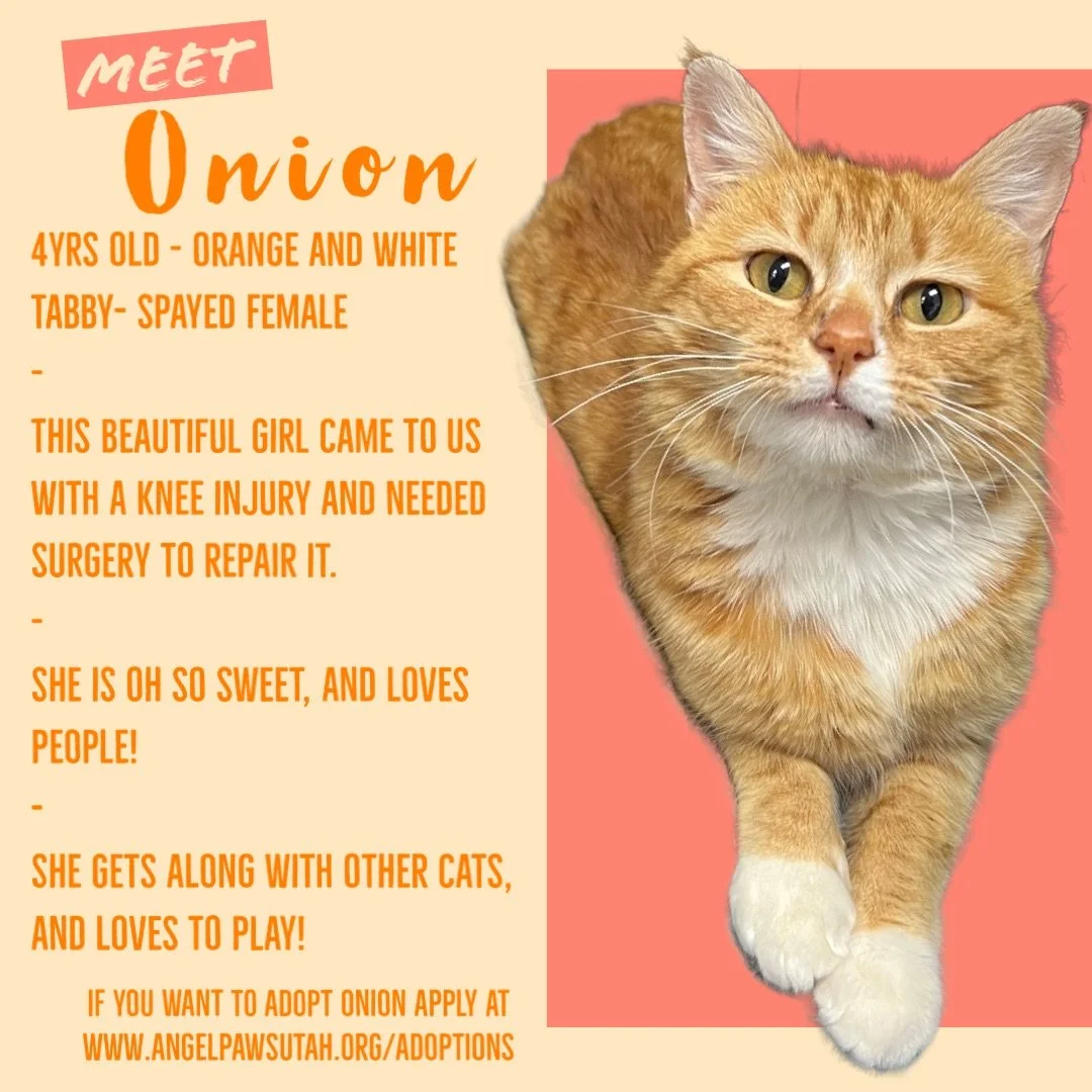 Adoptions — Angel Paws Utah