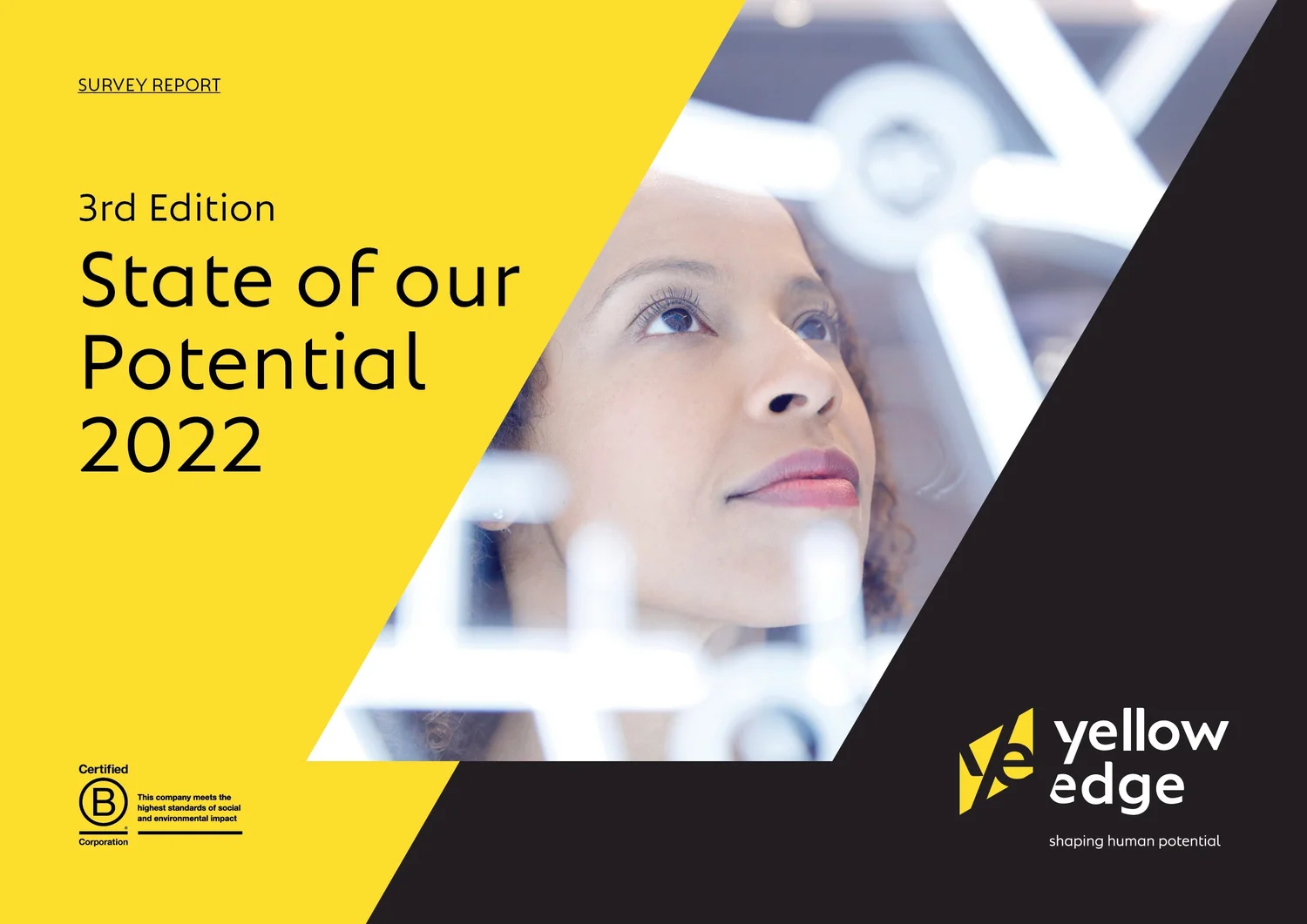 Services 1 — Yellow Edge | Performance Architects - Canberra Australia