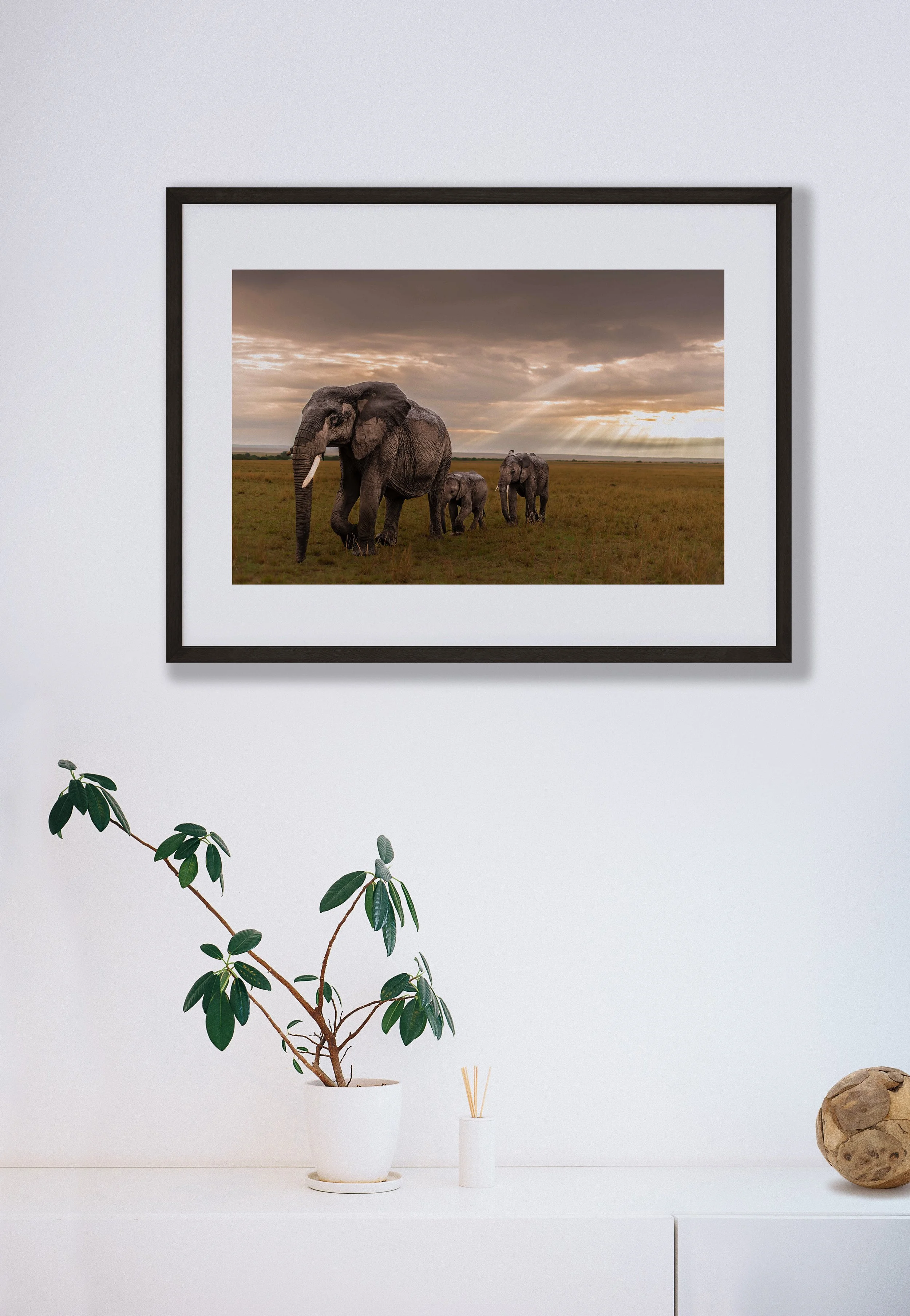 Isabel Doody Photography