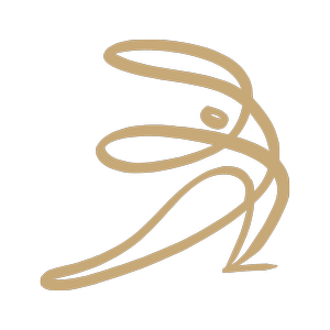 About | Discover Dance Today—Join Us — SaltStudios