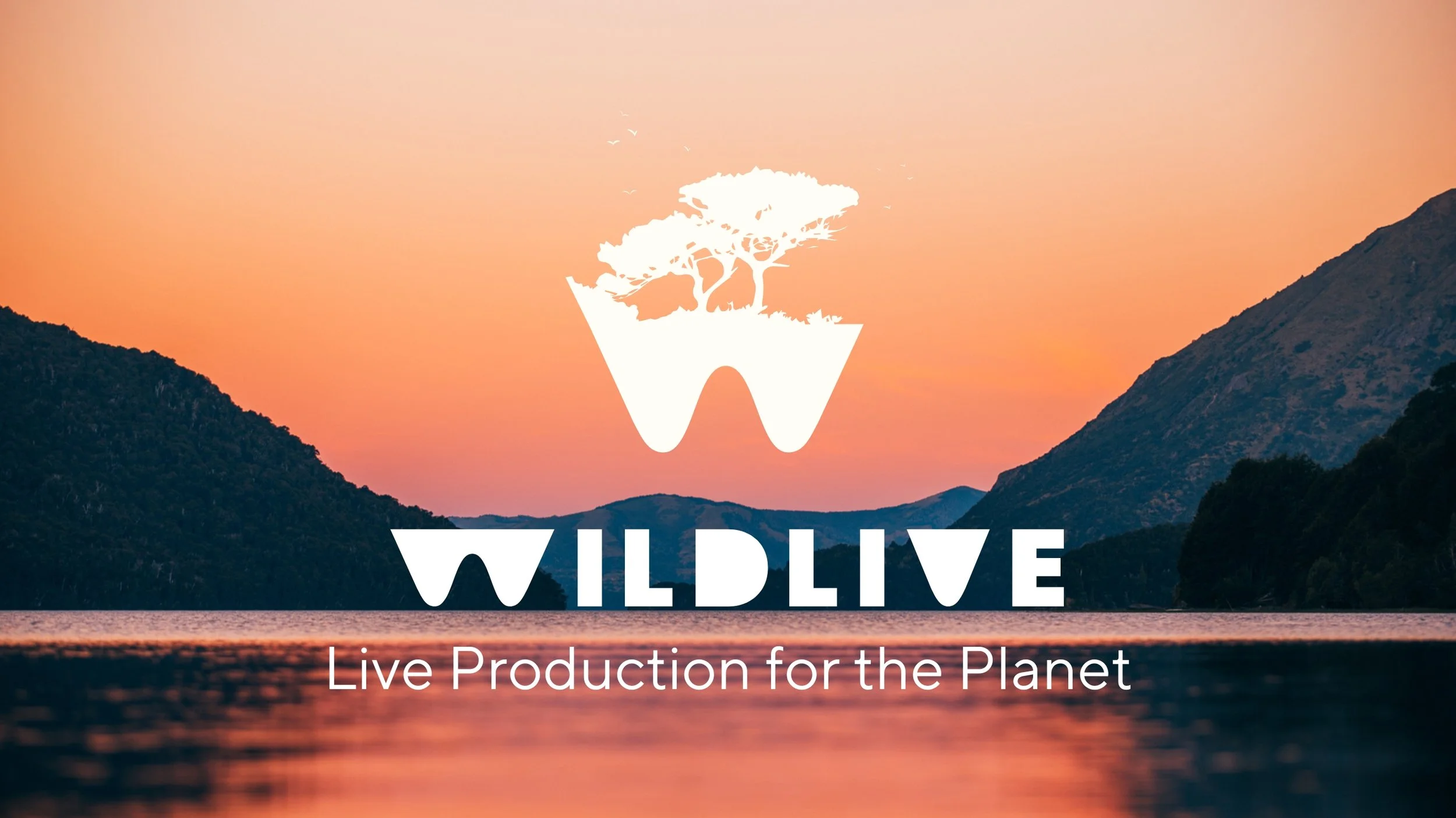 Wildlive
