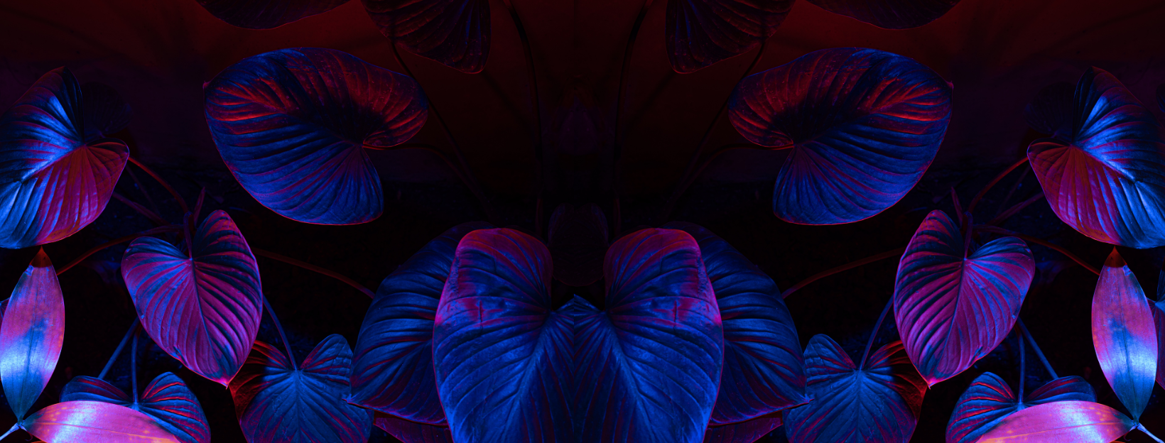 Vanguard Neurodiversity Training