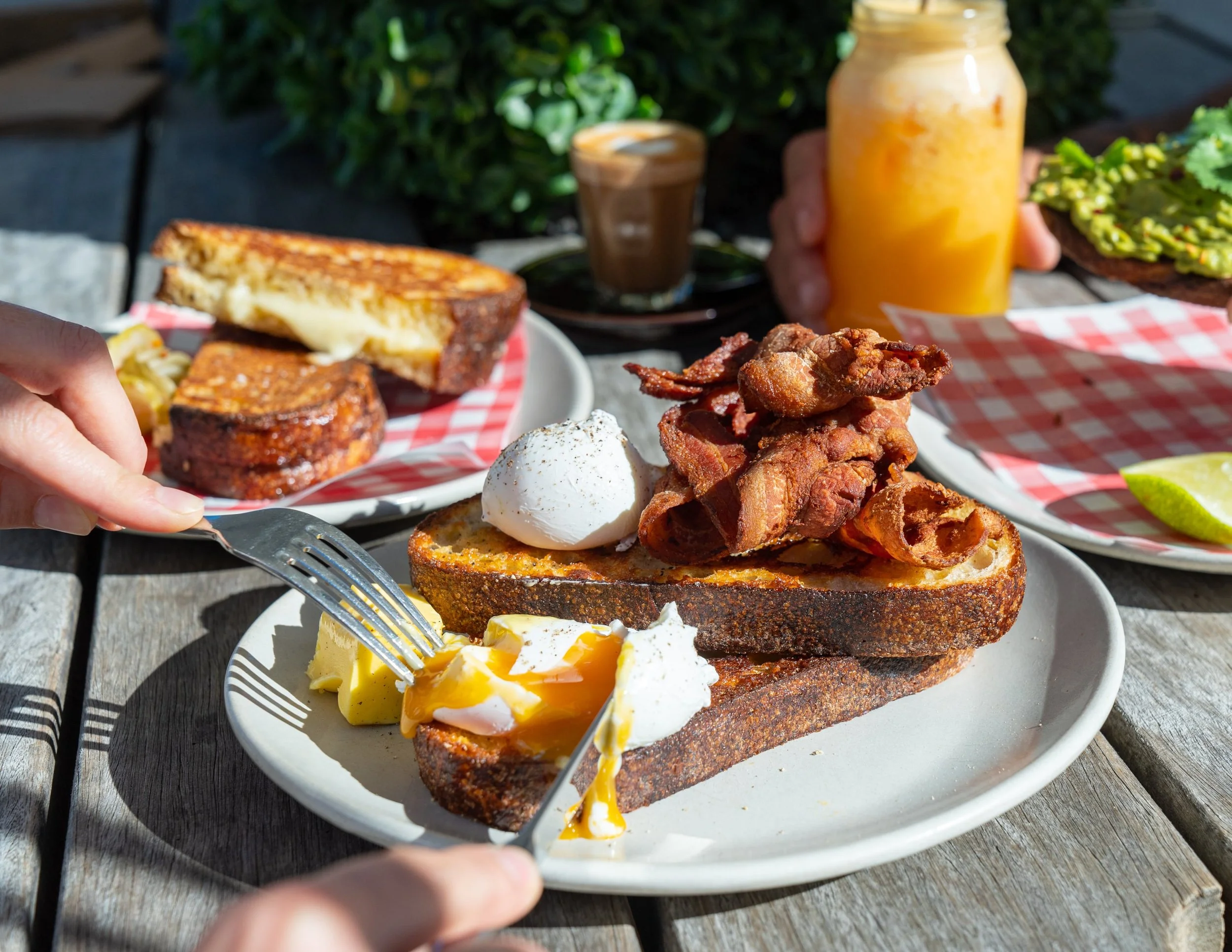 Flying Bear North Sydney - Waterfront Cafe | Bird & Bear