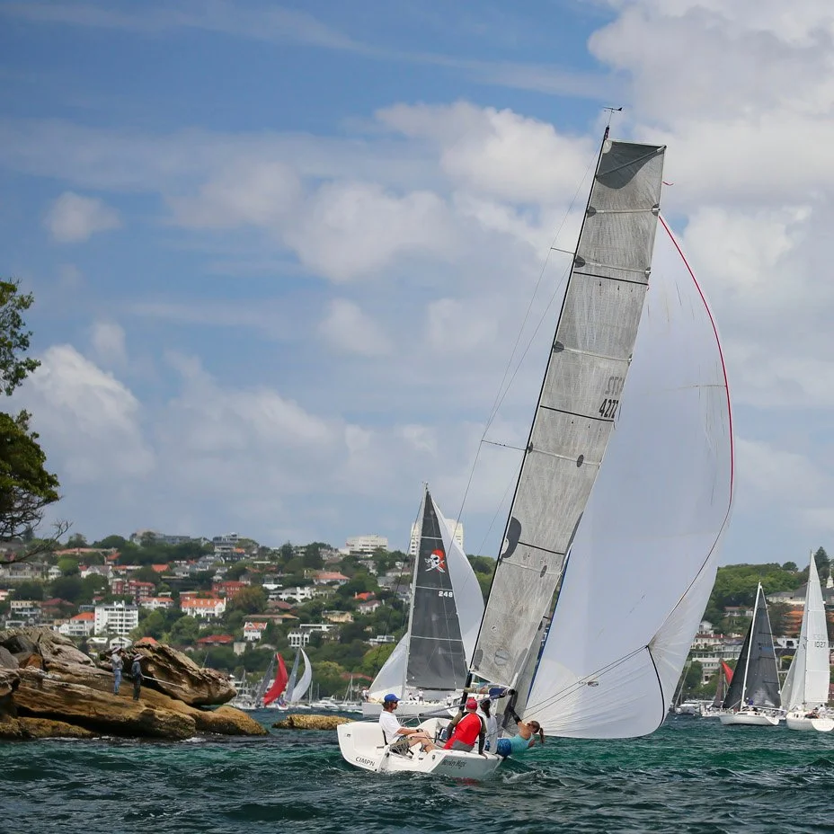 Membership | Bird & Bear