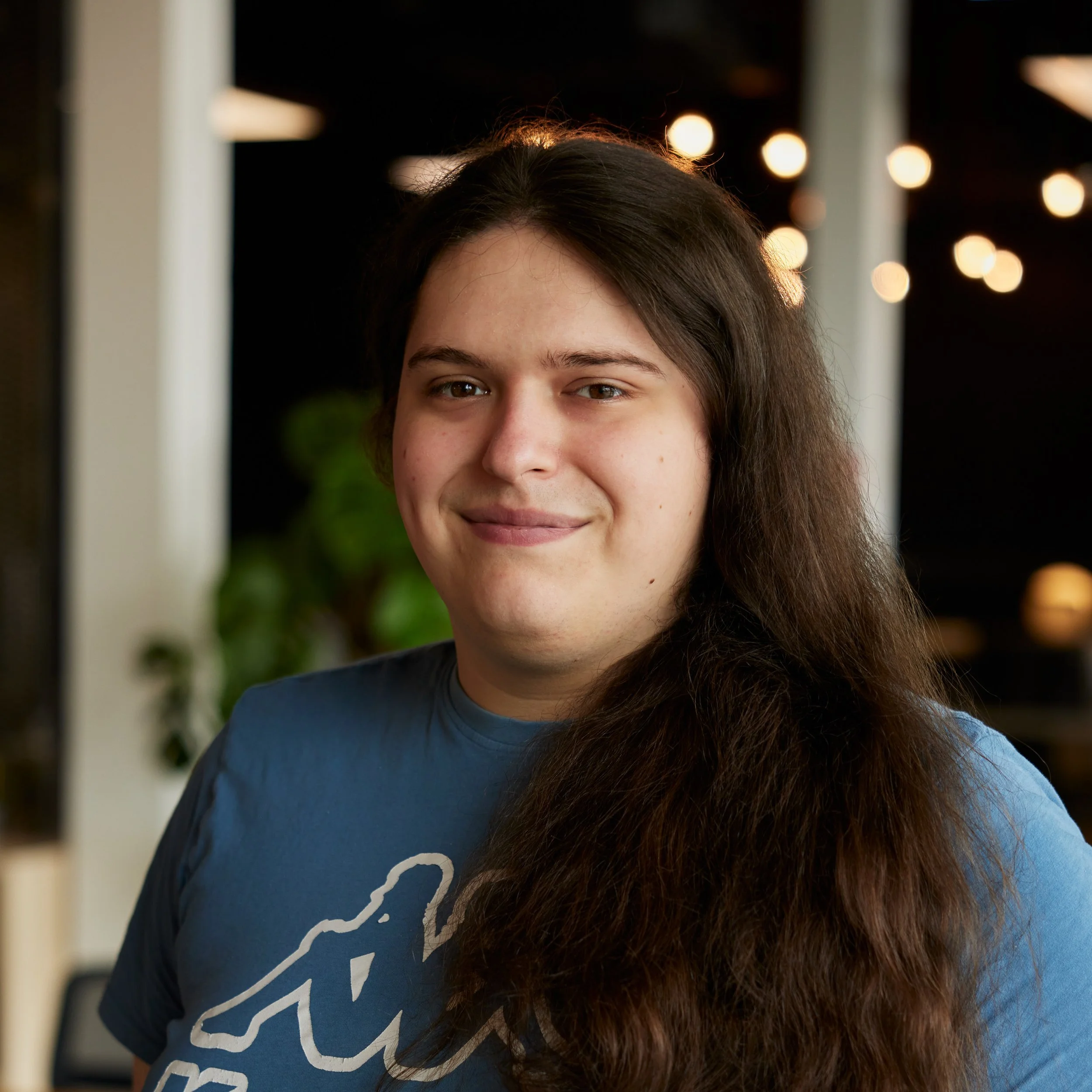 Our Team — Viridian Software