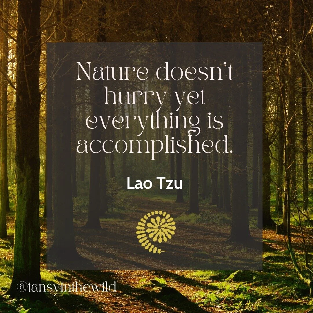 Outdoor Coaching — Tansy in the Wild