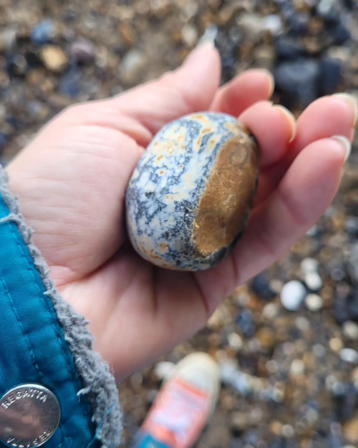 Outdoor Coaching — Tansy in the Wild