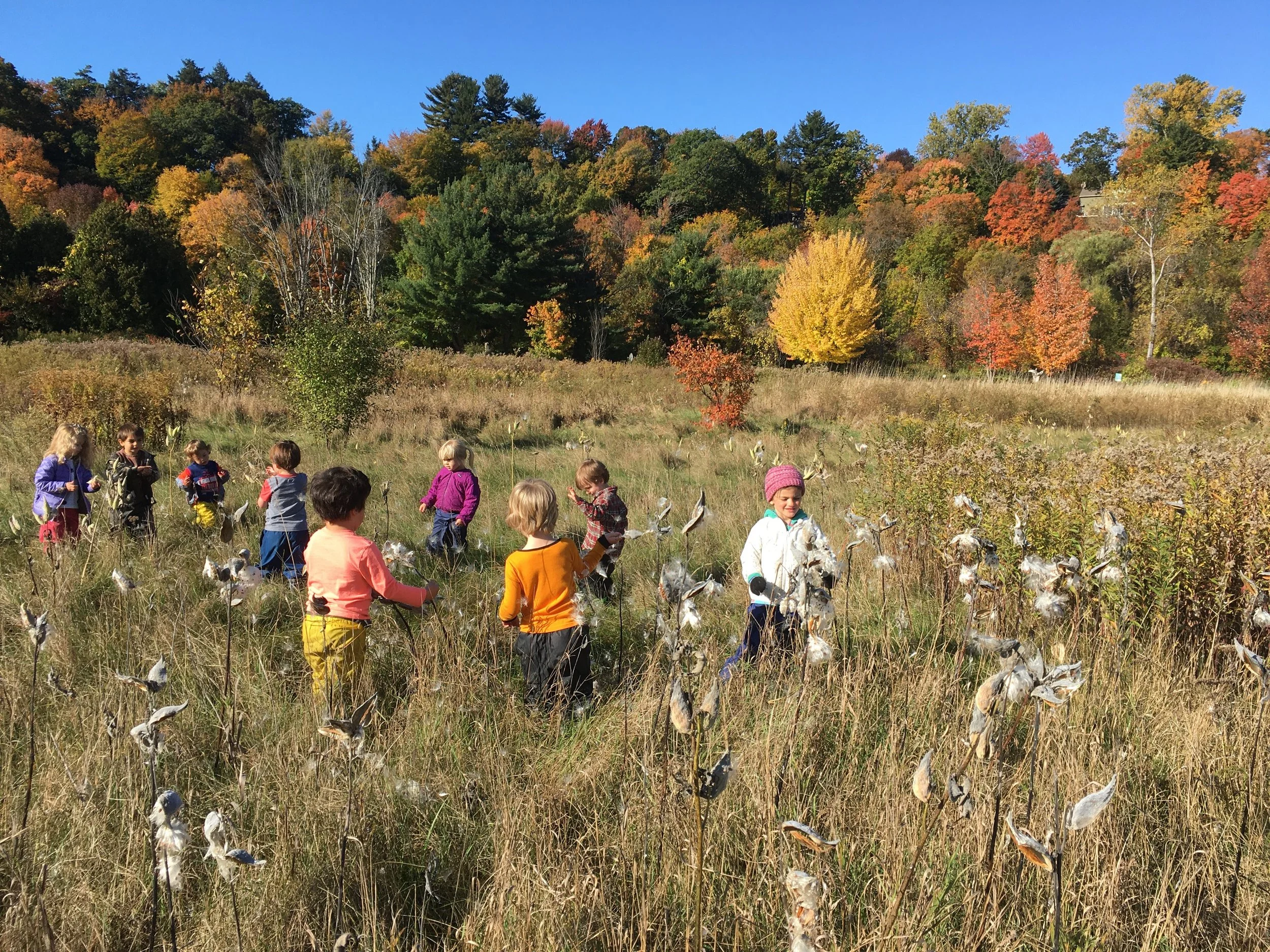 Burlington Forest Preschool