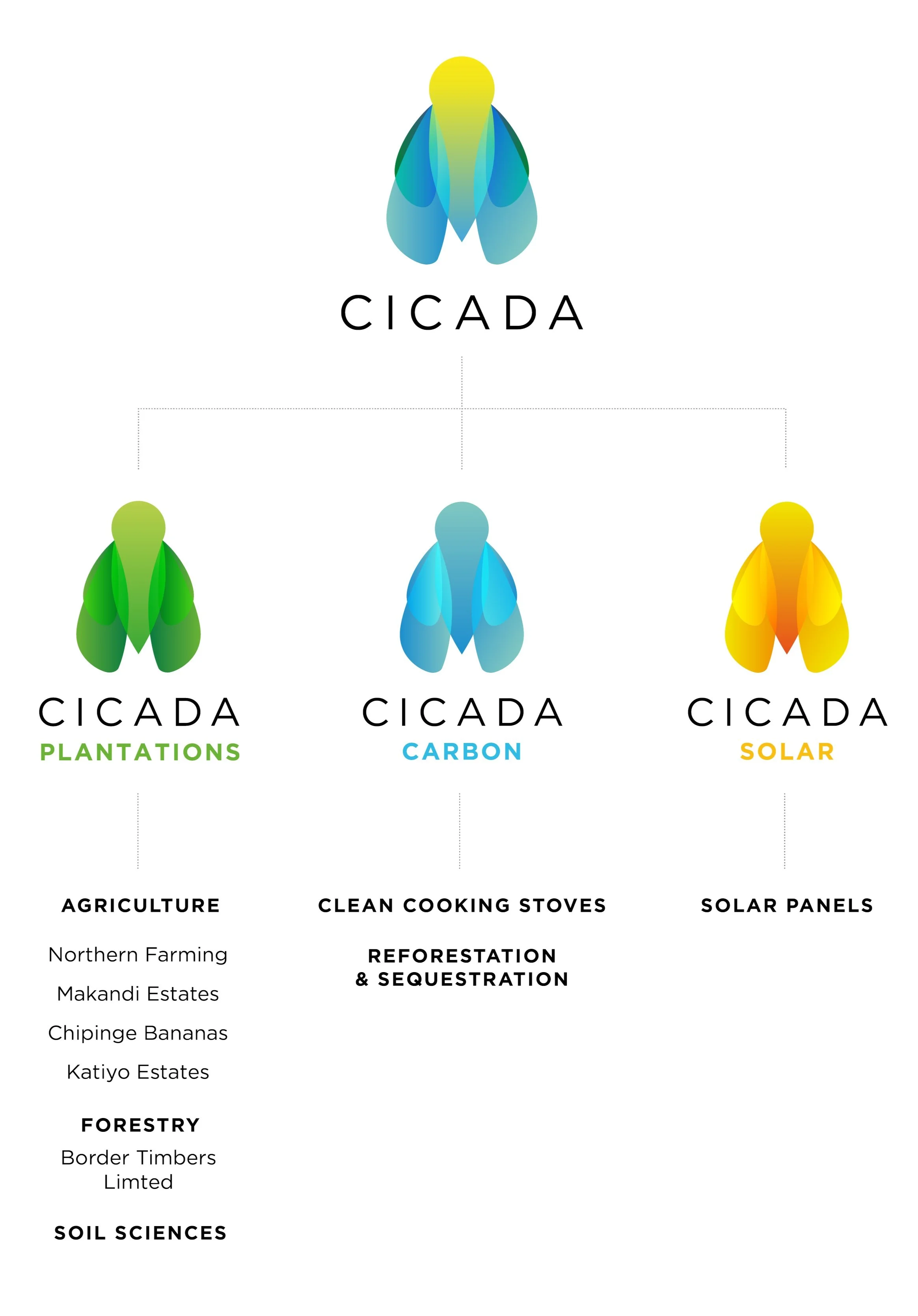Company Structure — C I C A D A