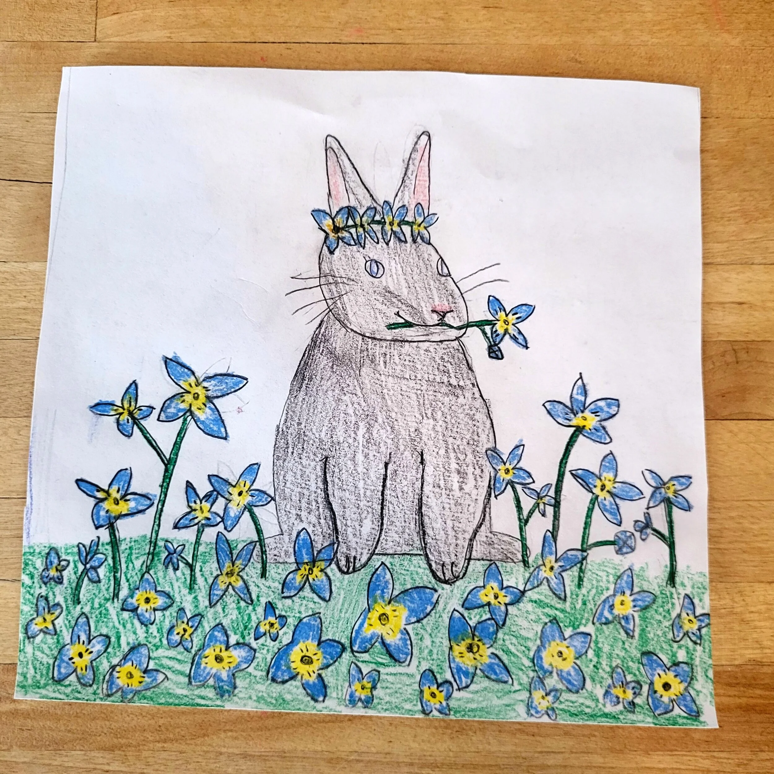 Art Contest — Friends of Blackwater