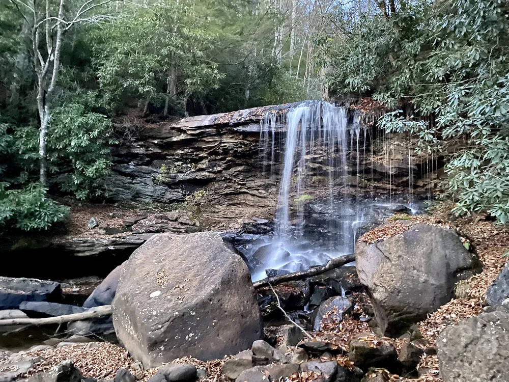 Blackwater Loop Trail | Discover & Explore Now — Friends of Blackwater