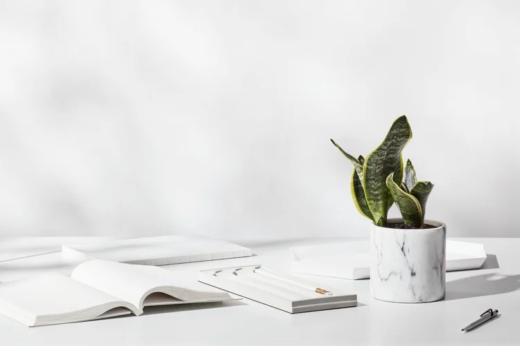 Stella Ramirez Independent Facilitator