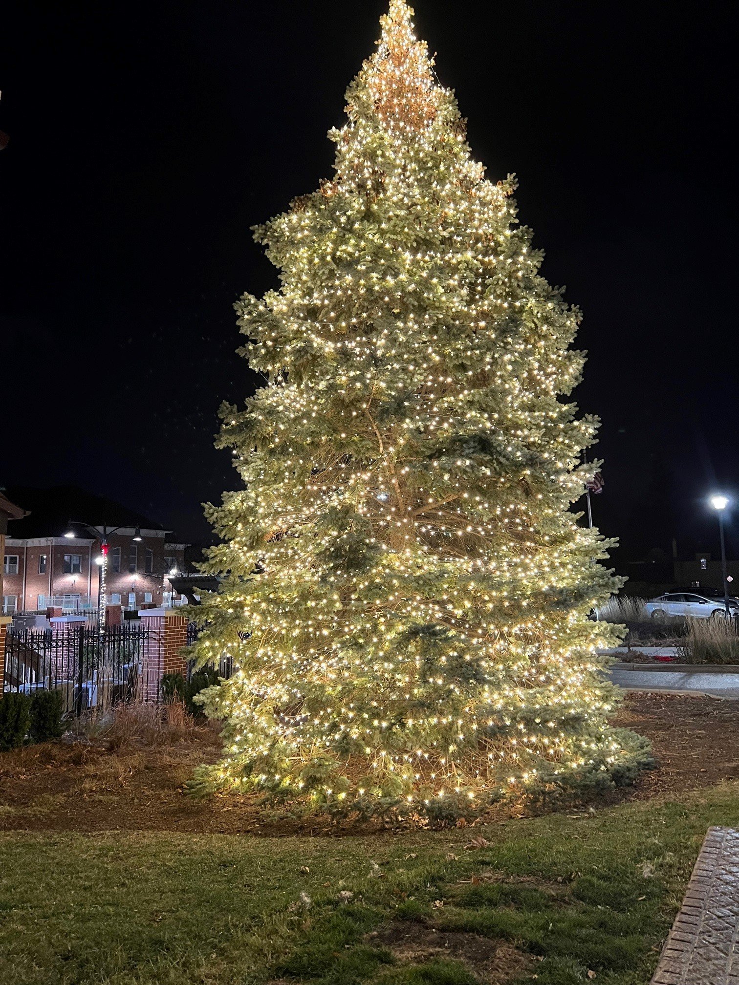 Tree Lighting & Holiday Festival — Grayslake Village Center