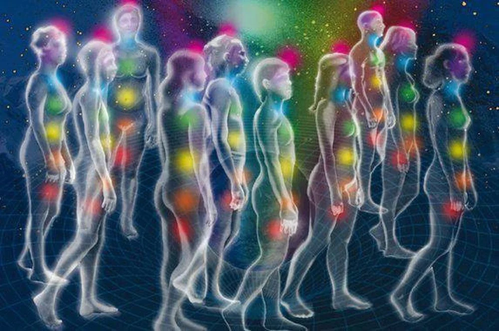 Biofields 101 — Bamboo Garden Wellness Center