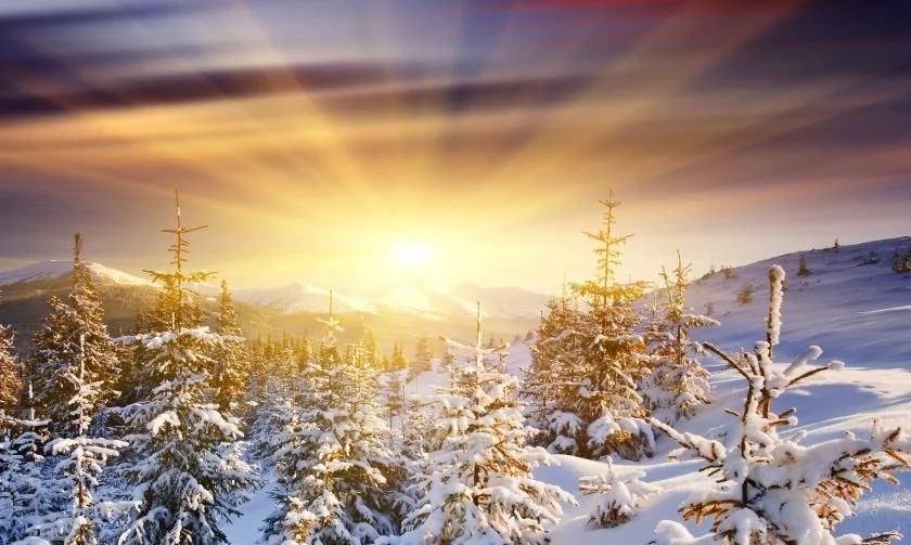 Winter Solstice — Bamboo Garden Wellness Center