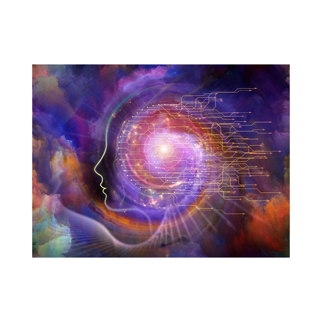 The Power of Subtle Energy — Bamboo Garden Wellness Center