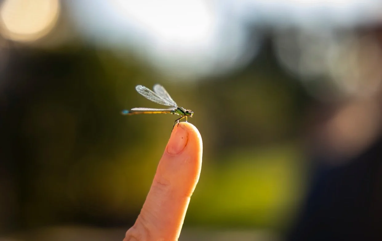 Reclamation Retreat - A Somatic Healing Experience for Women — My Inner ...