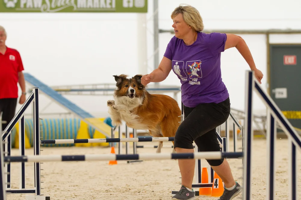 Canine Handler Fitness Ltd.