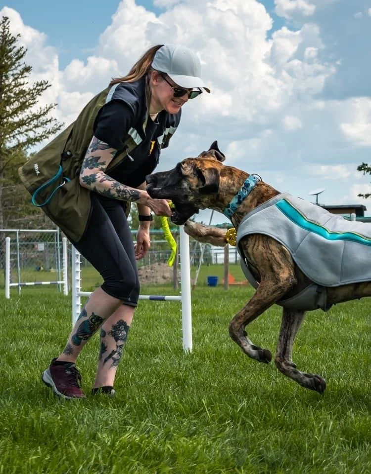 Canine Handler Fitness Ltd.