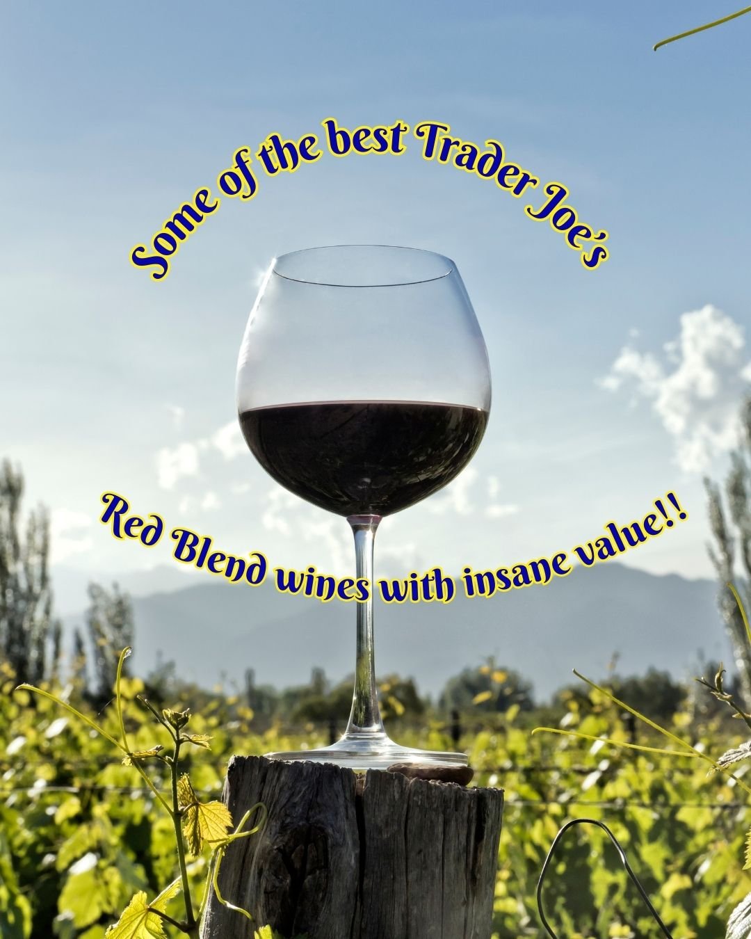 Some of the best Trader Joe’s Red Blend wines with insane value! — Wine ...