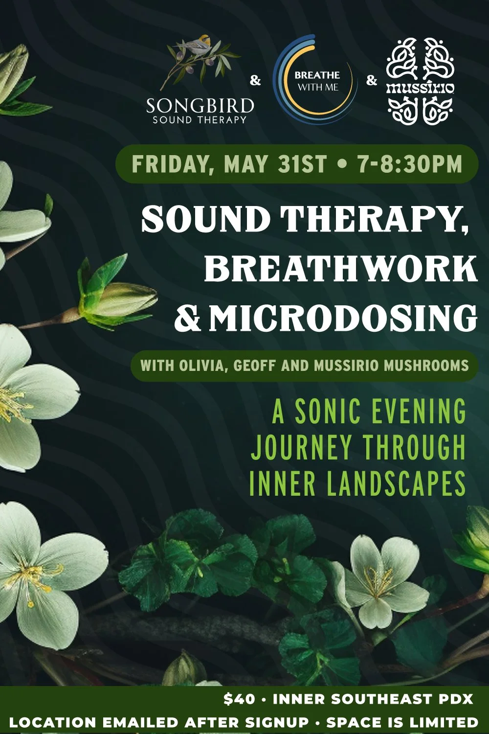 Songbird Sound Therapy —Upcoming Events