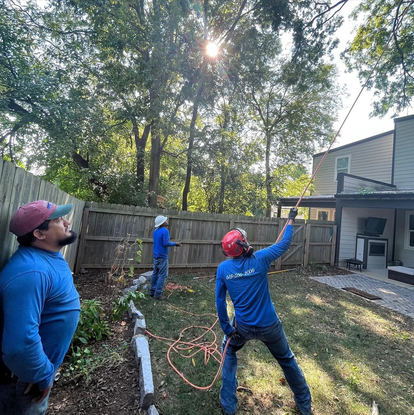 My Tree Guy TN | Nashville Tree Service | Tree Removal | Stump Grinding