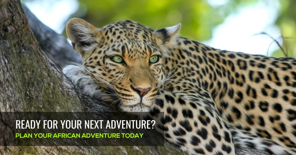 Gallery 3 — Jamie Mendes Writing