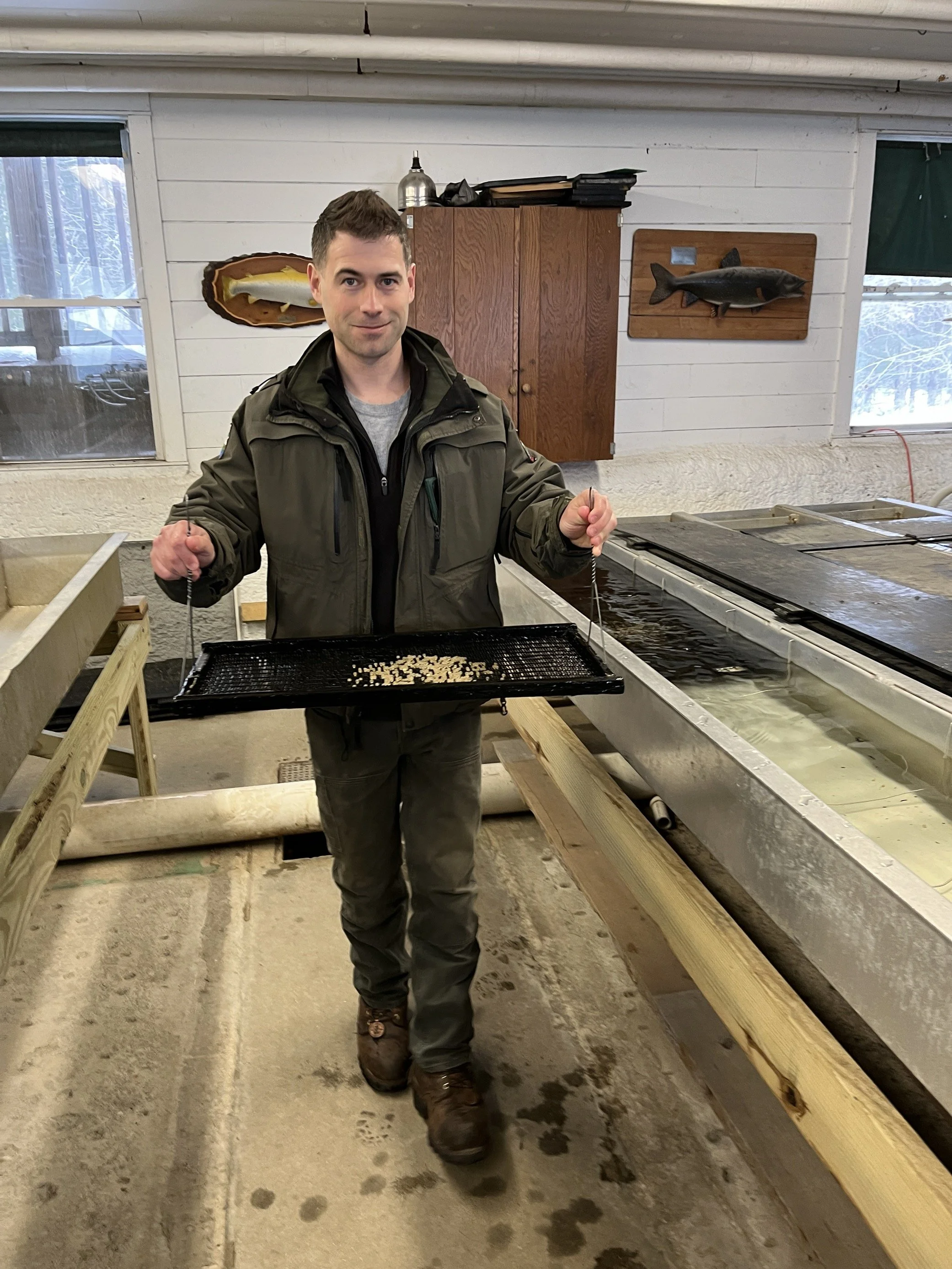 The trout eggs have arrived! — Greener Neighborhoods Cleaner Streams