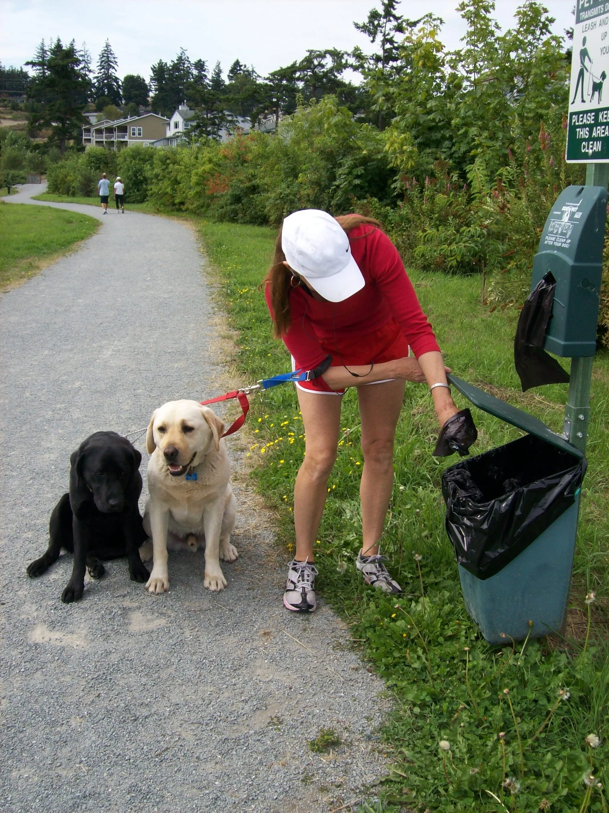 Be a Green Neighbor | Act Now for Clean Water — Greener Neighborhoods ...