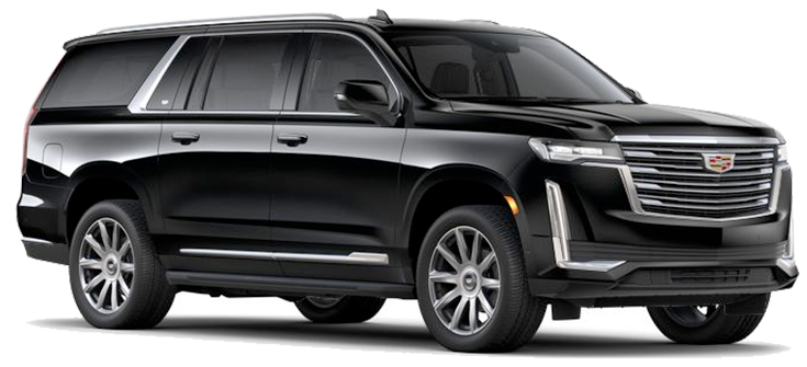 Fleet — Dukes Limousine