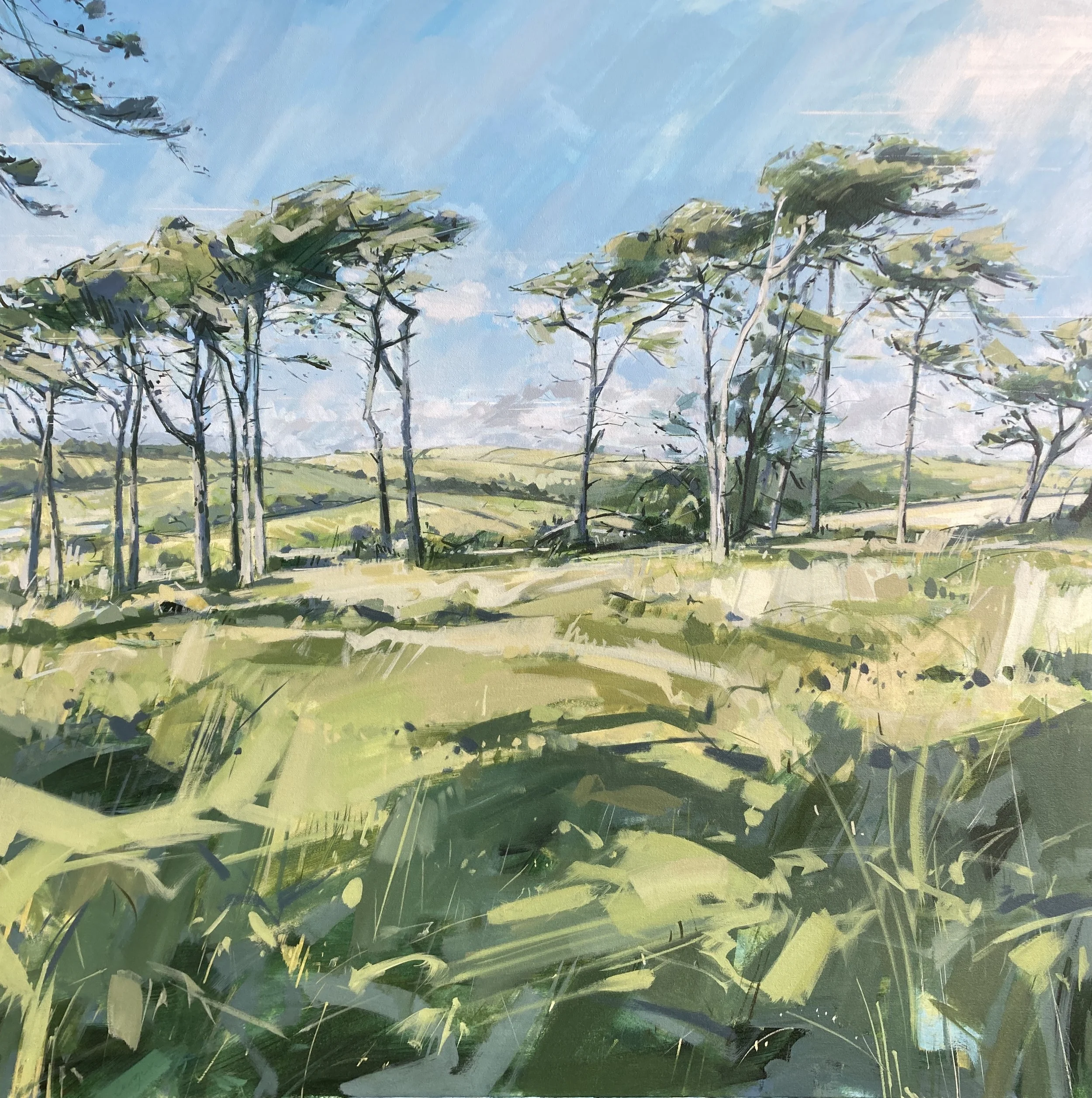 Imogen Bone — Summerhouse Gallery