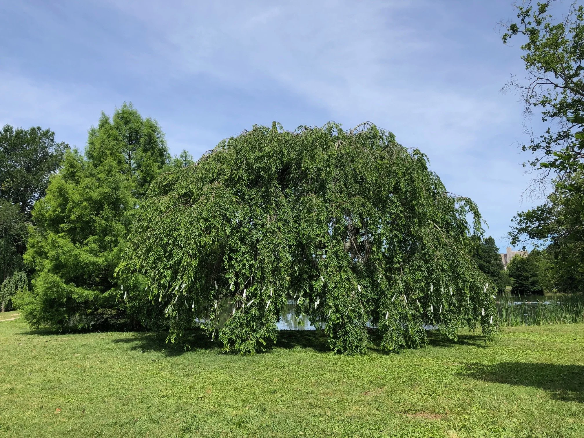 250th Itinerary — Smithfield