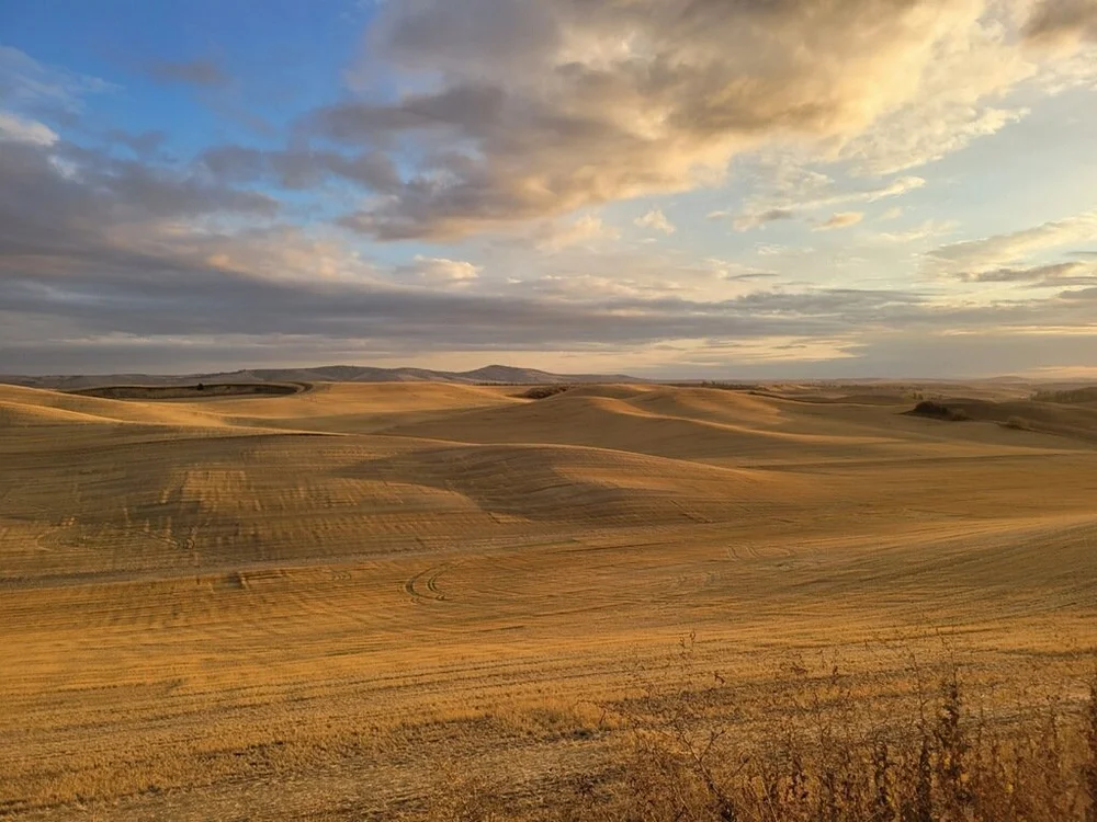 Palouse to Pine - Landscaping company in Moscow and Pullman