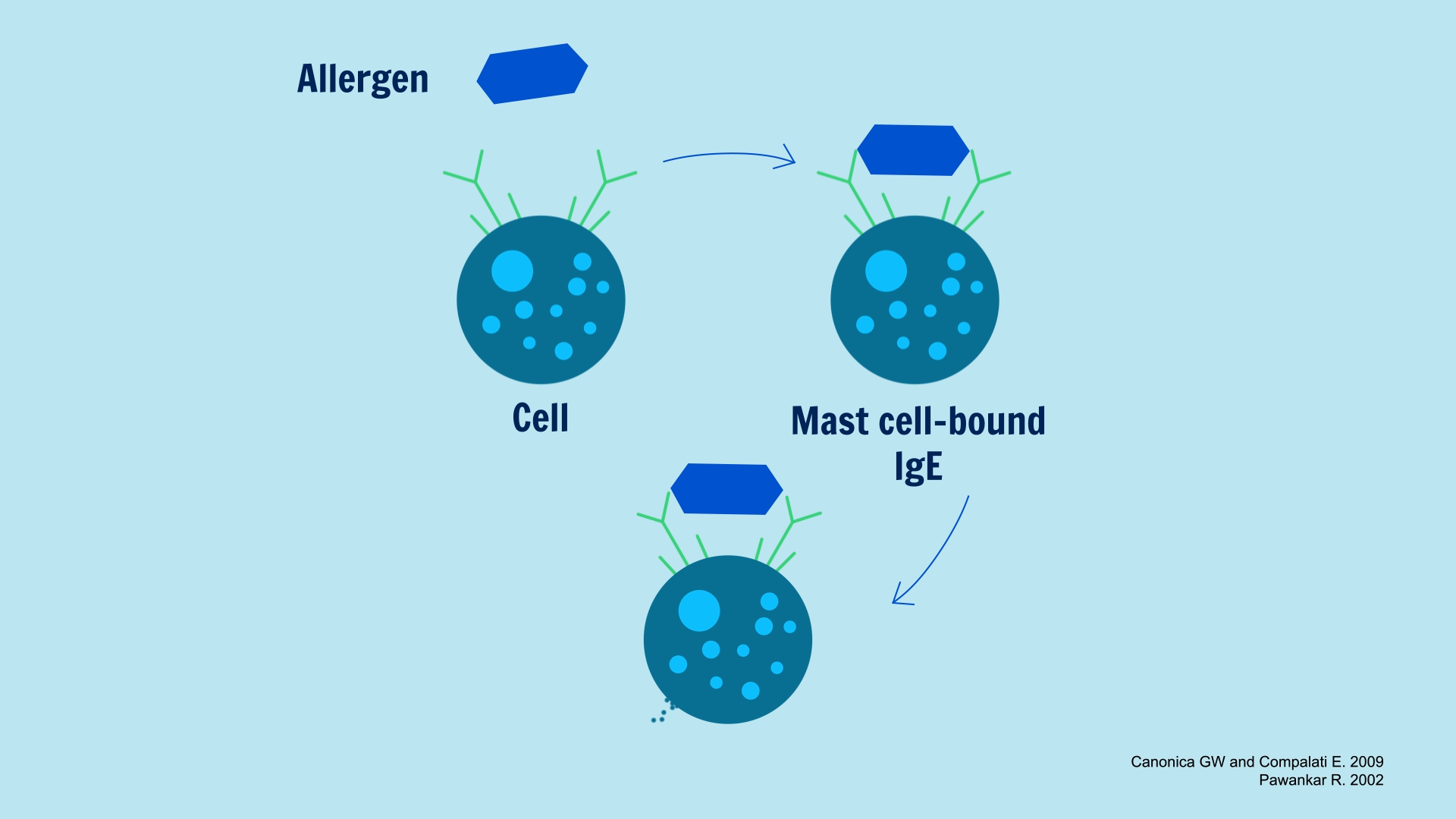 Allergic Rhinitis — Pete Nicholson