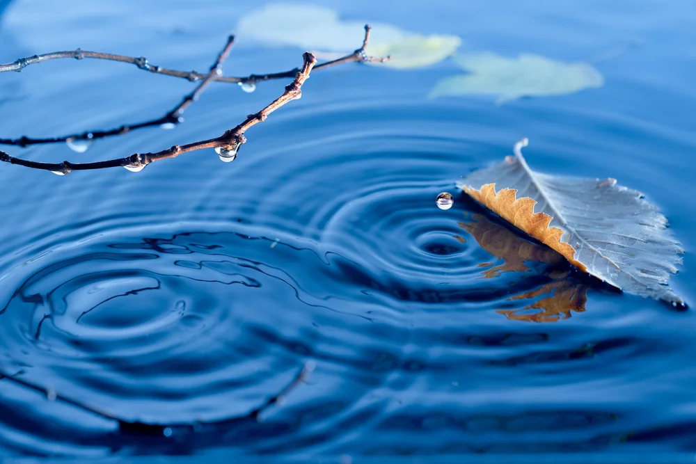Online Programs | Discover Inner Peace Today — Sufi Way