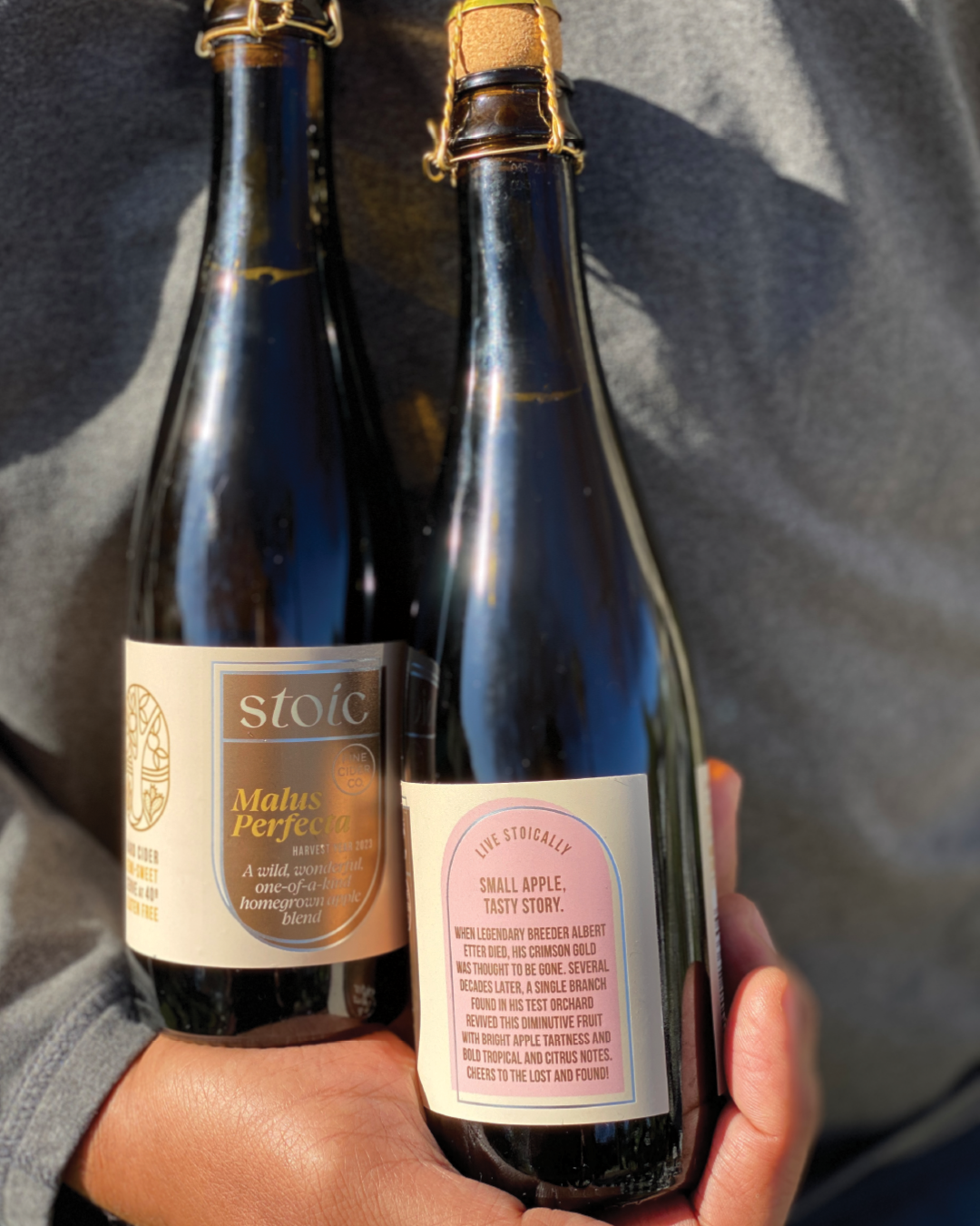 Stoic Fine Cider — SMC