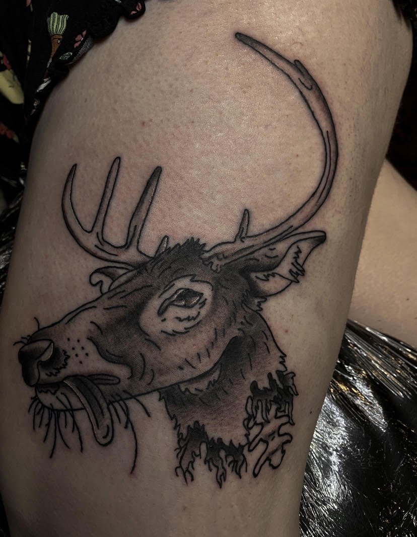 WORMS — the Kindred Spirit Tattoo co.