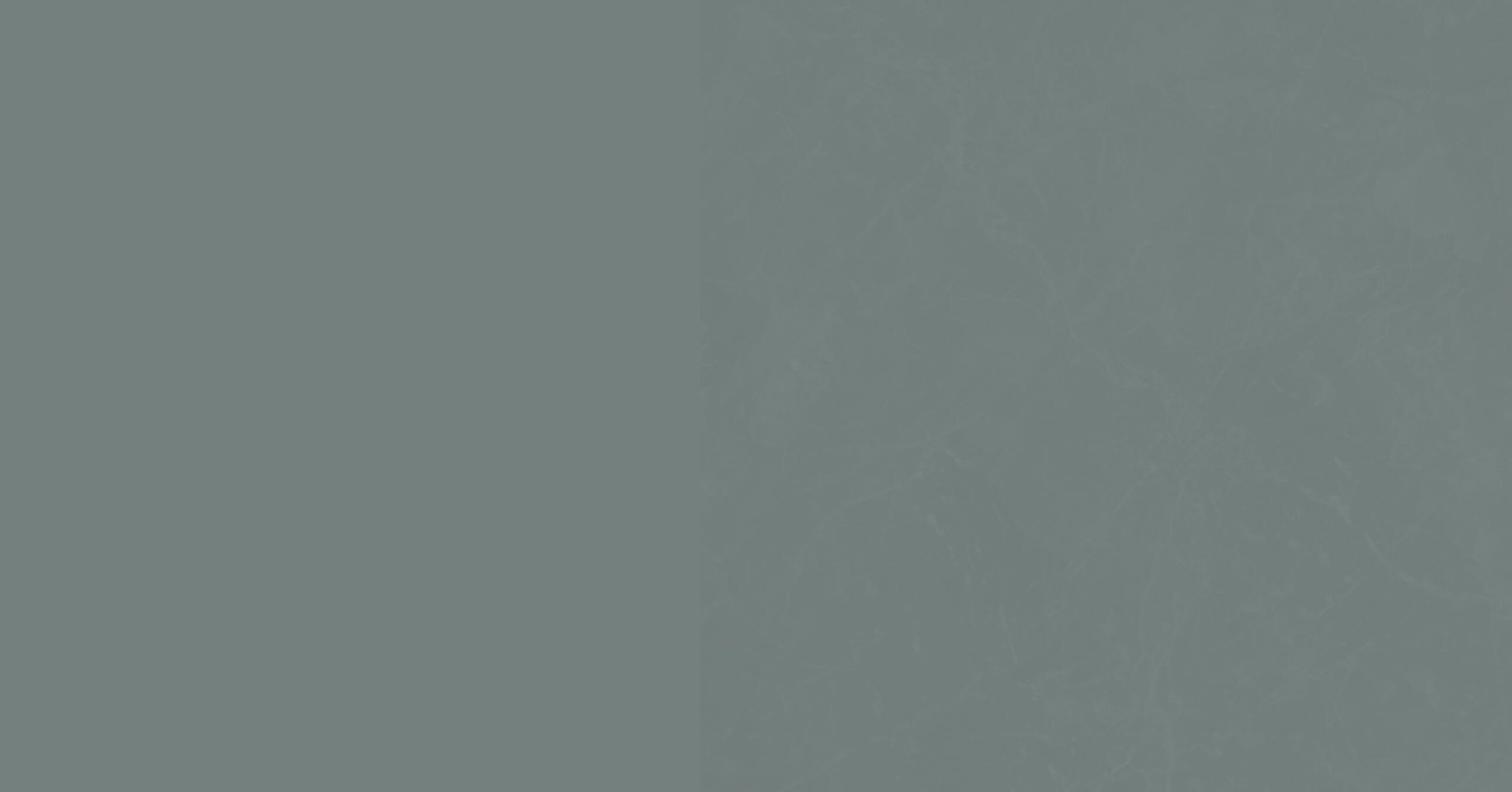 About | Acheron Center For Psychiatric Healing