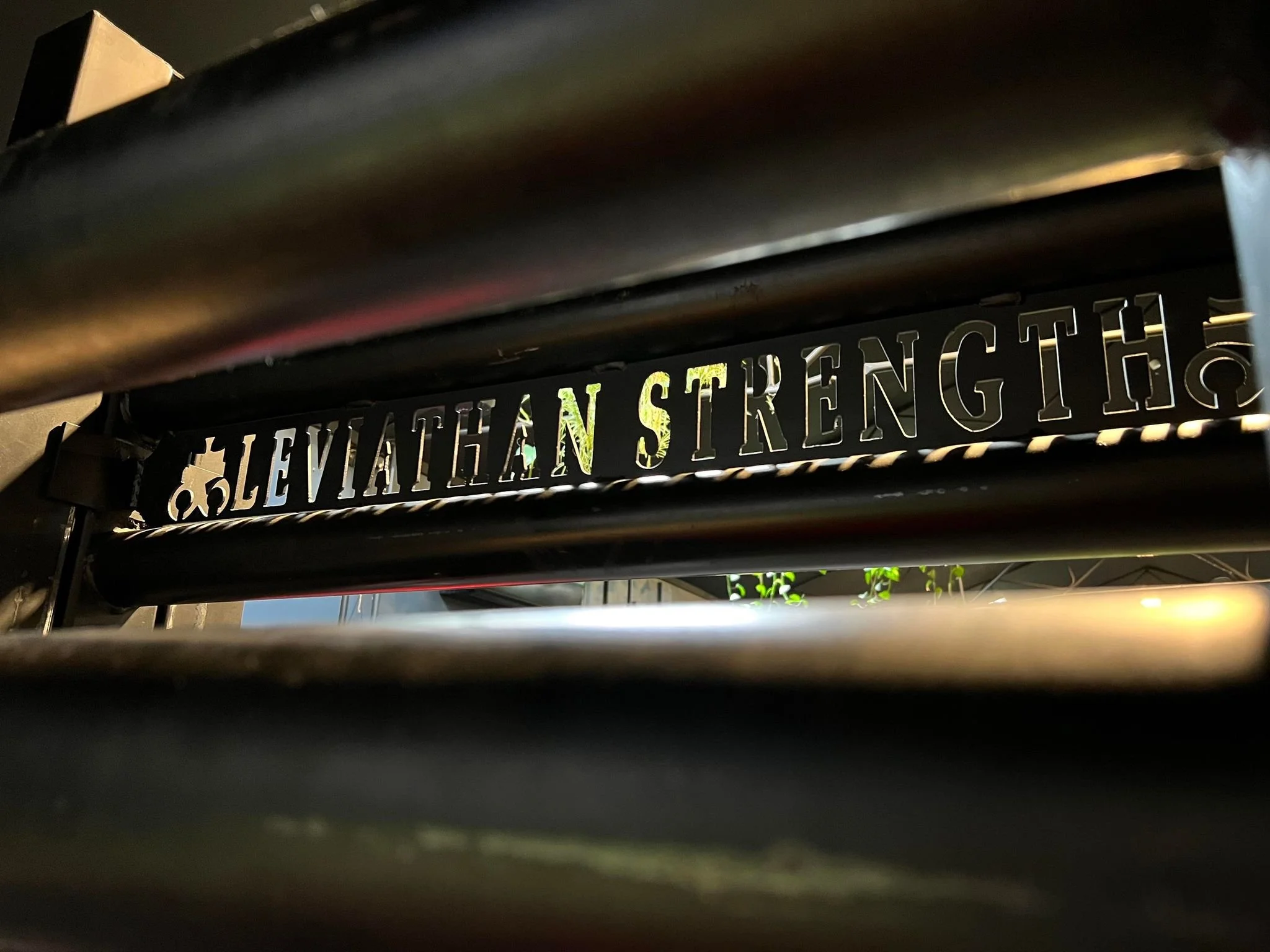 Leviathan Strength Gym