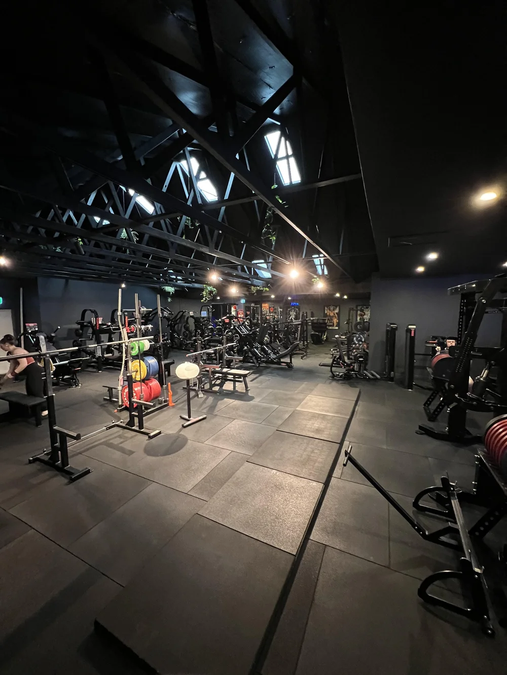 Gallery 1 — Leviathan Strength Gym