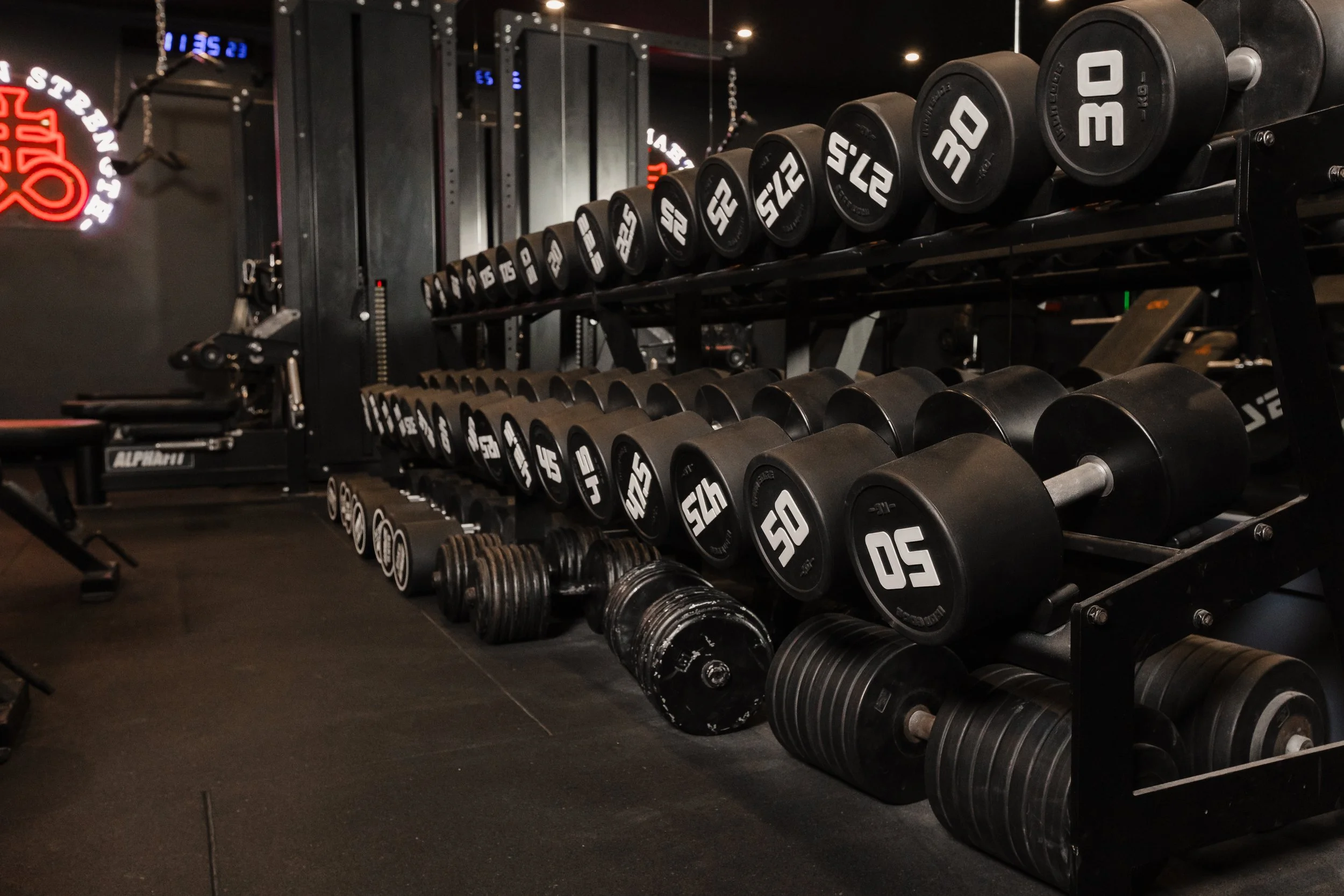 Gallery 1 — Leviathan Strength Gym