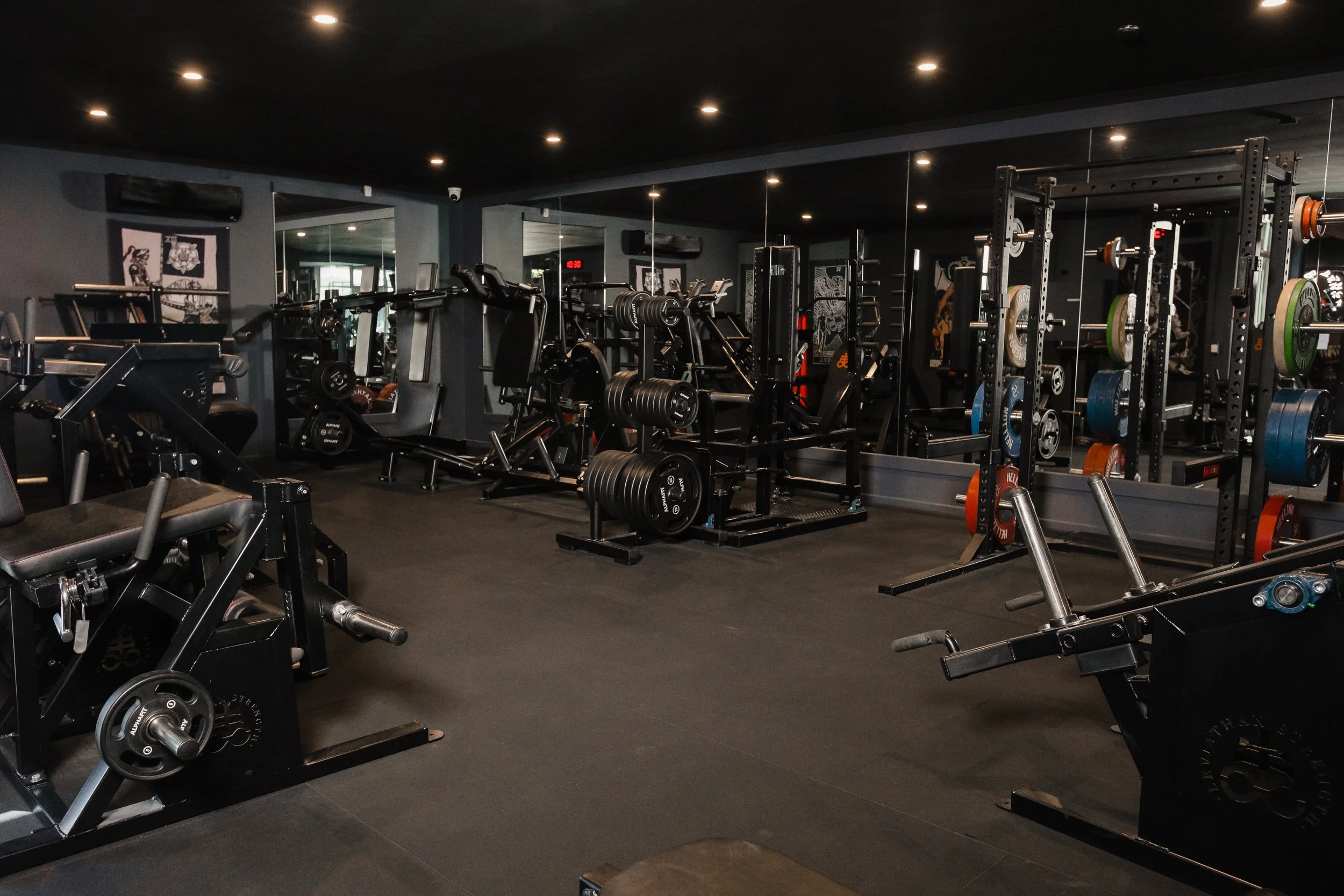 Gallery 1 — Leviathan Strength Gym