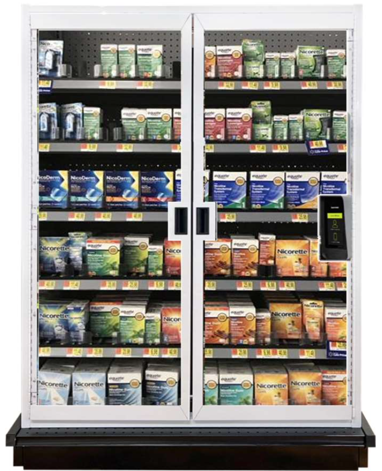 Intrepid Security Solutions Ltd