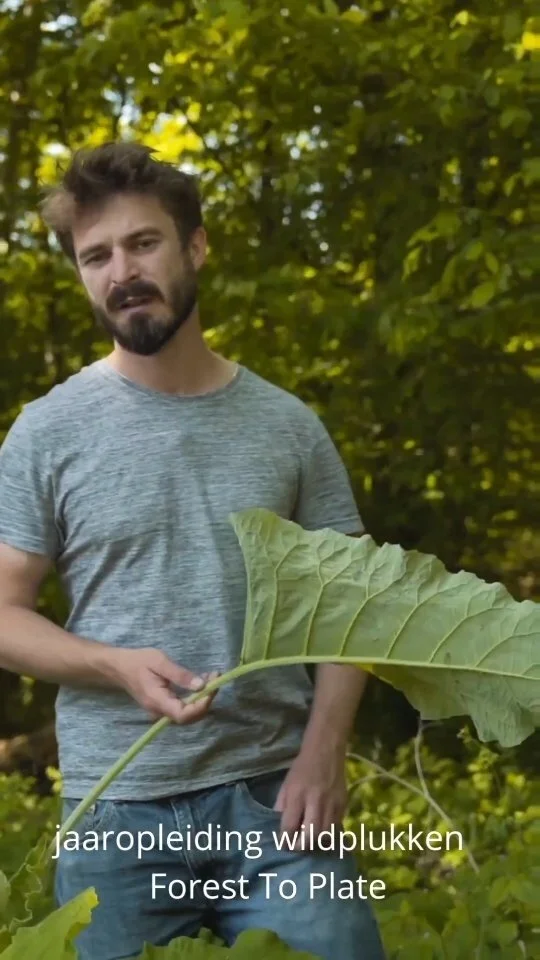 artikels — Forest To Plate